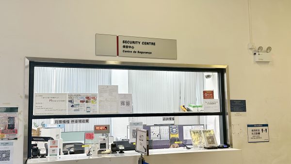 Security Services – sfscmdo